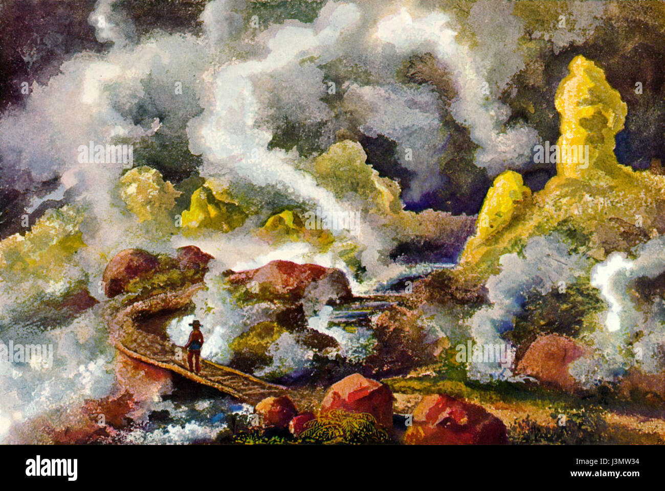 Haeckel 10 refers to a specific work or illustration by Ernst Haeckel ...