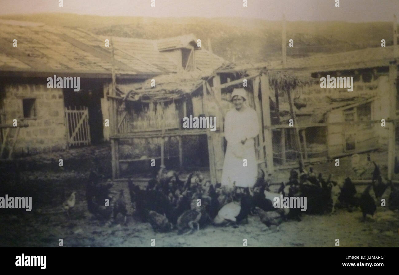 Historical images of Kinneret Farm P1180687 Stock Photo - Alamy