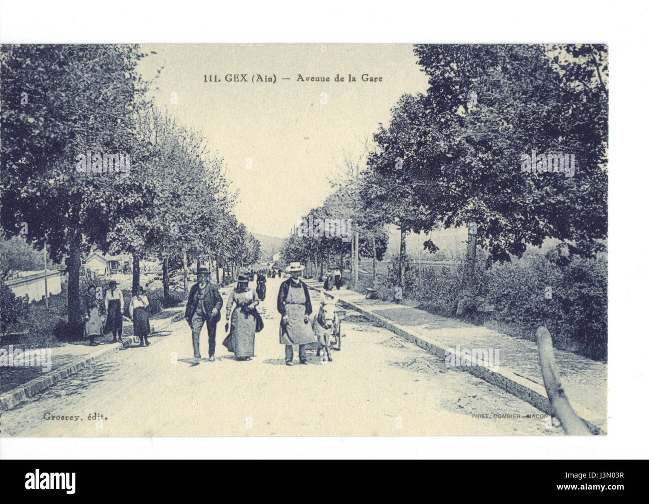 Gex Avenue de la Gare is a prominent street in the town of Gex, France ...