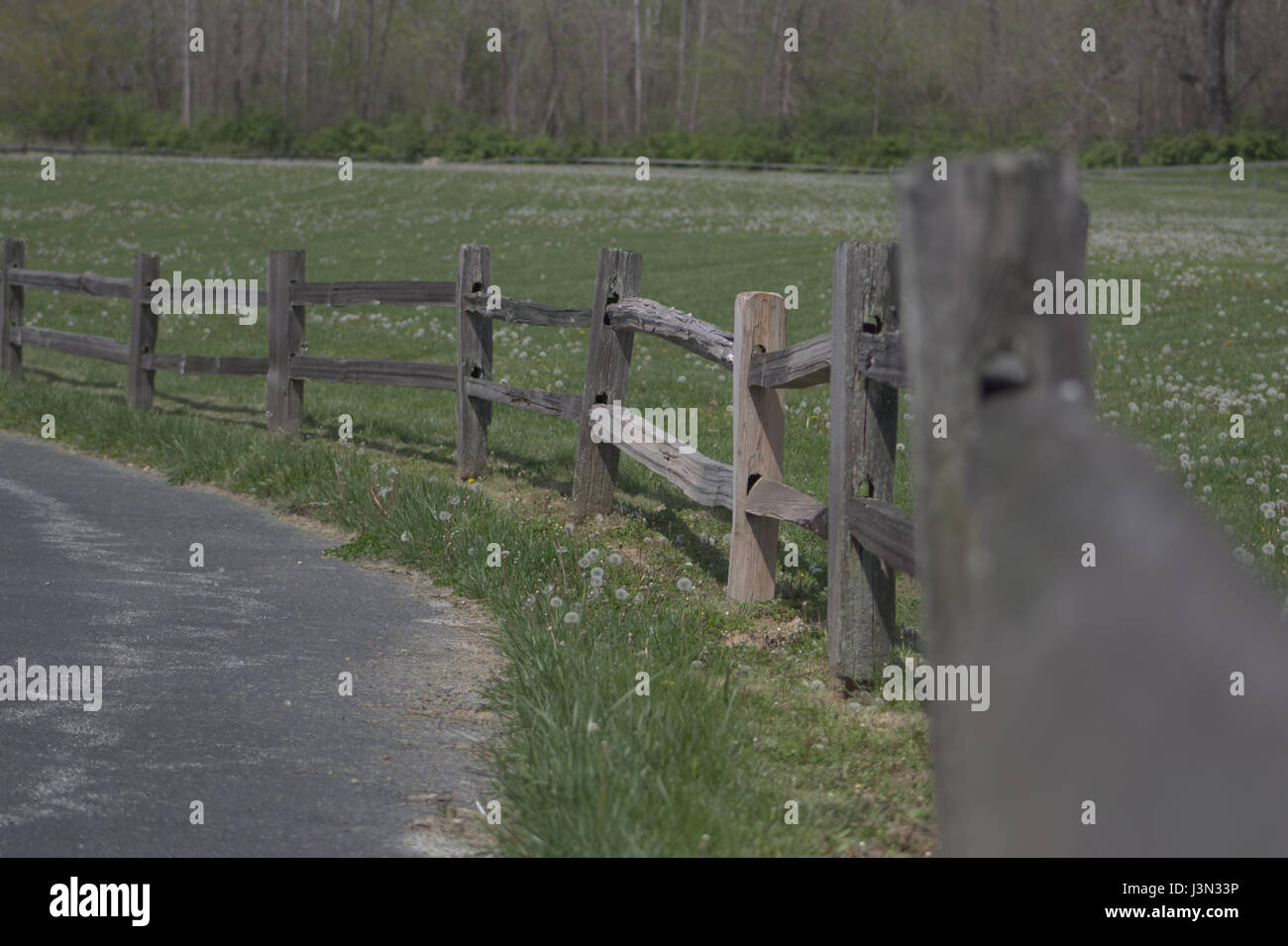 Down the fence row Stock Photo - Alamy