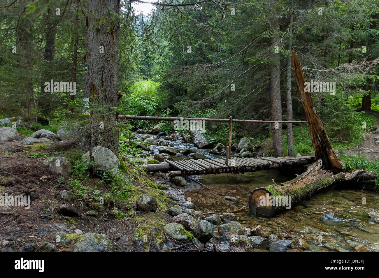 Mountain landscape with river and broken wooden bridge in forest from ...