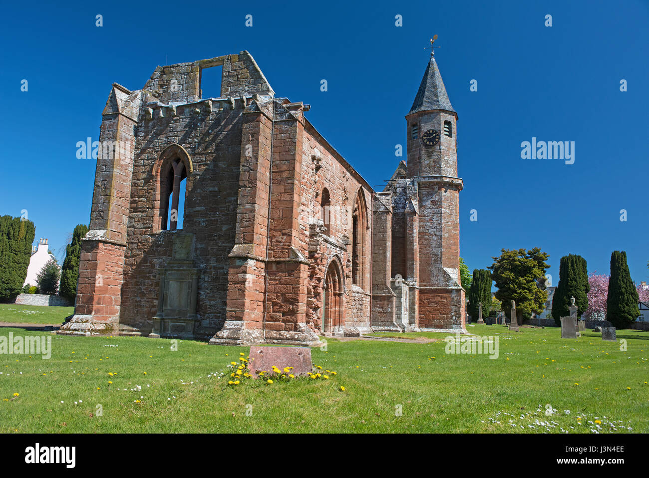 The Red sandstone ruins of Fortrose Cathedral, located on the Black ...