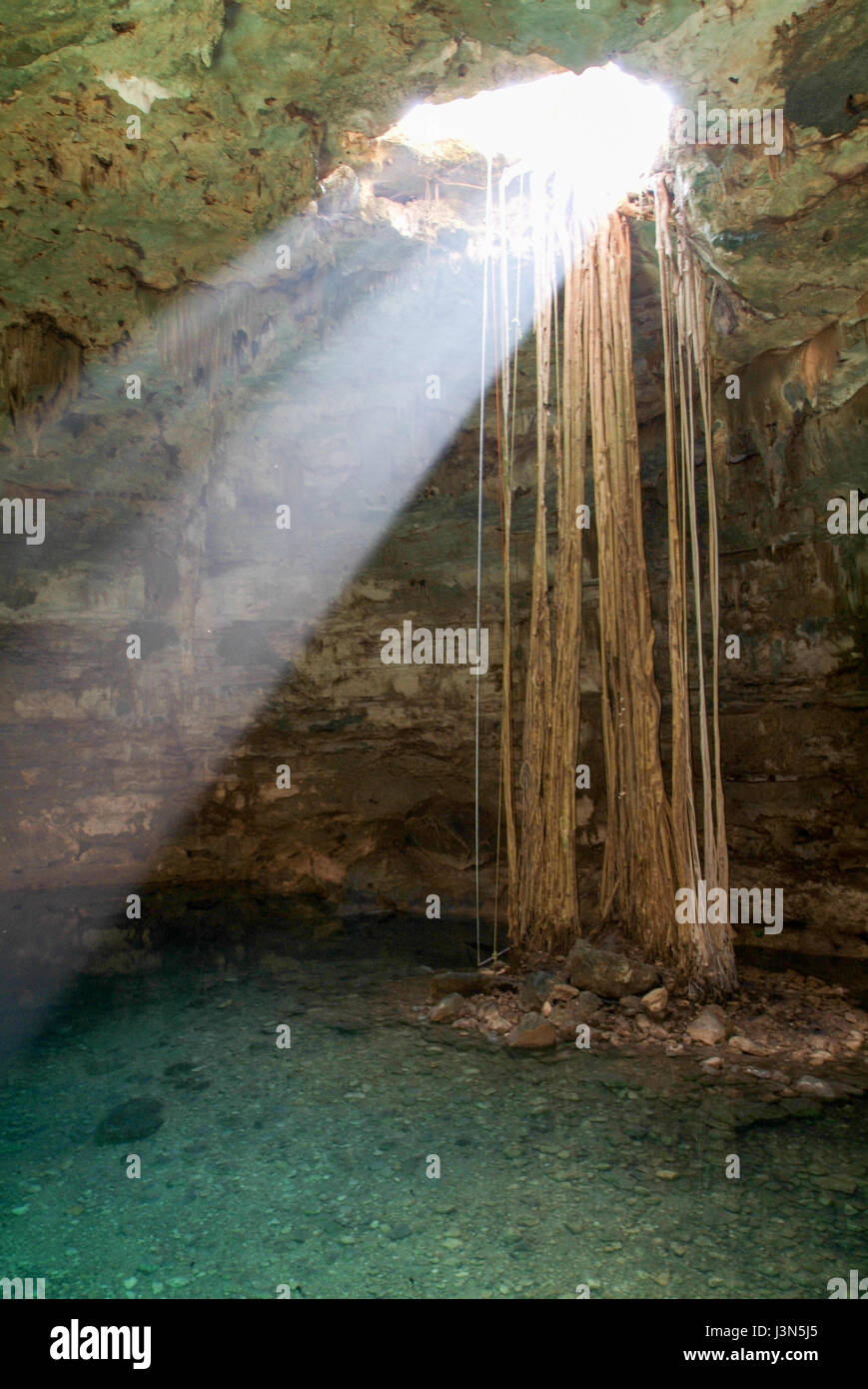 Cenote Samula is 7 km from center of town Valladolid in Yucatan ...