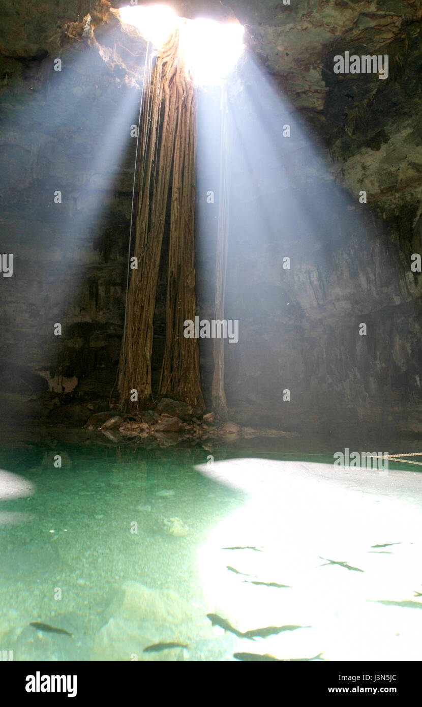 Cenote Samula is 7 km from center of town Valladolid in Yucatan ...