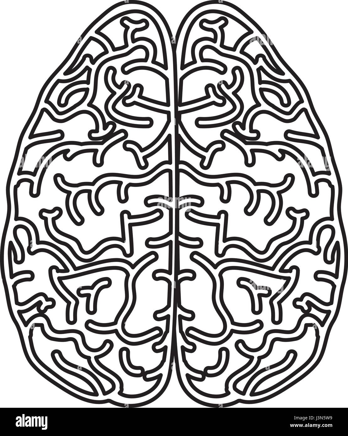 Human brain symbol Stock Vector Image & Art - Alamy