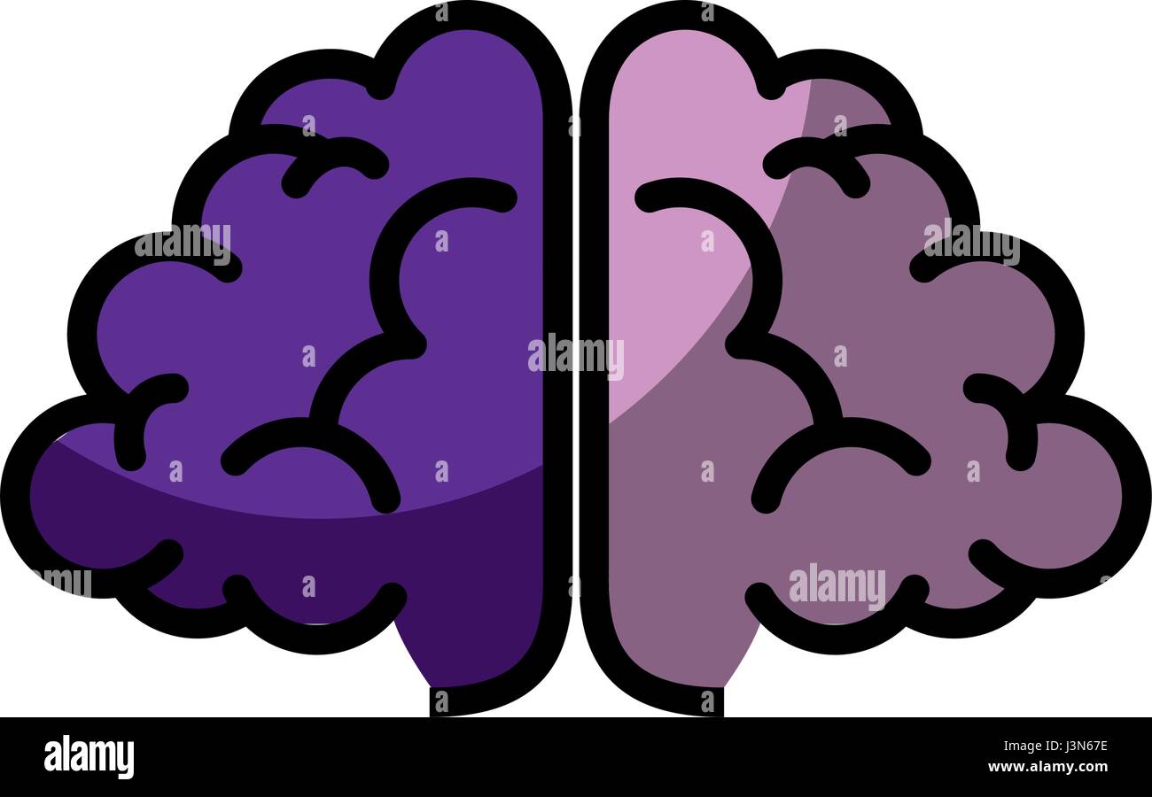human brain design Stock Vector Image & Art - Alamy