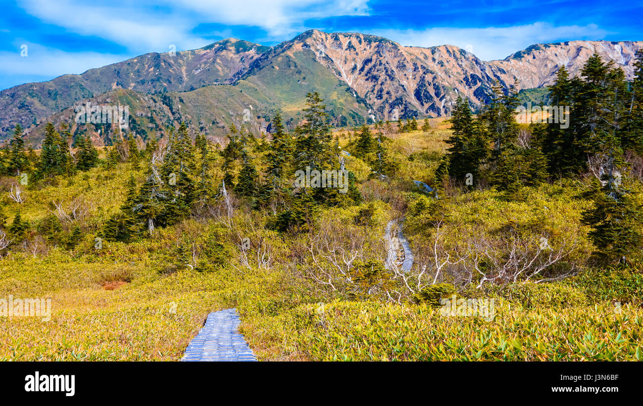 Mountain with blue sky in Japan Alpine route Stock Photo - Alamy