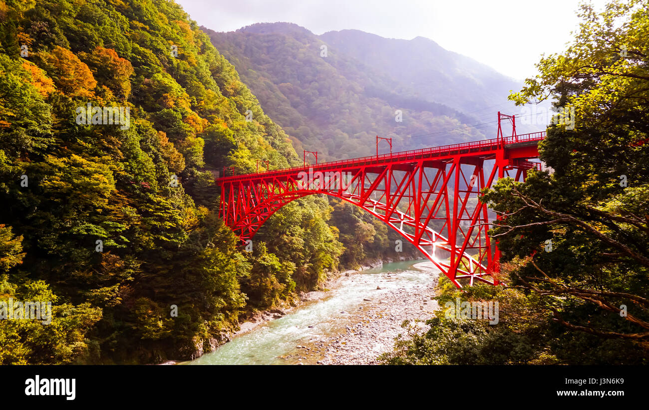 Japanese red bridge in forest Stock Photo - Alamy