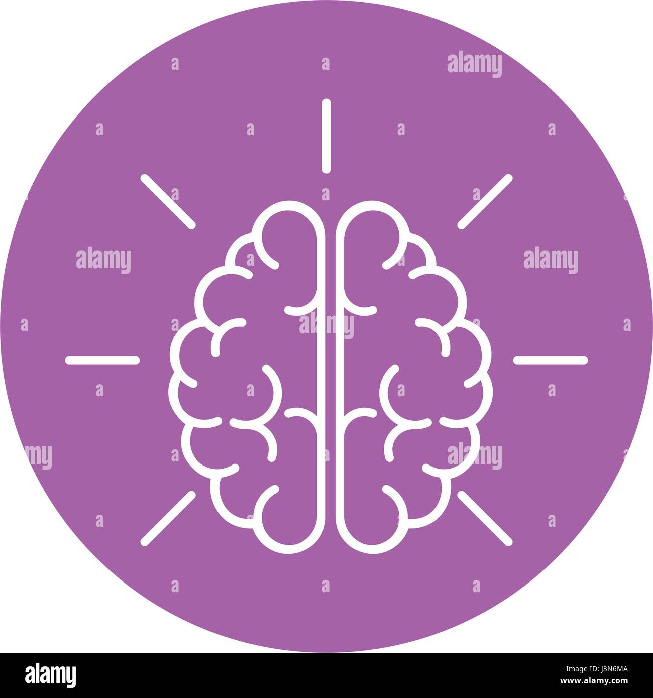 brain organ icon Stock Vector Image & Art - Alamy