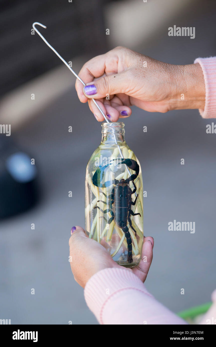 a lao lao whiskey Shop in the Lao Lao Village Ban Xabg Hay at the ...