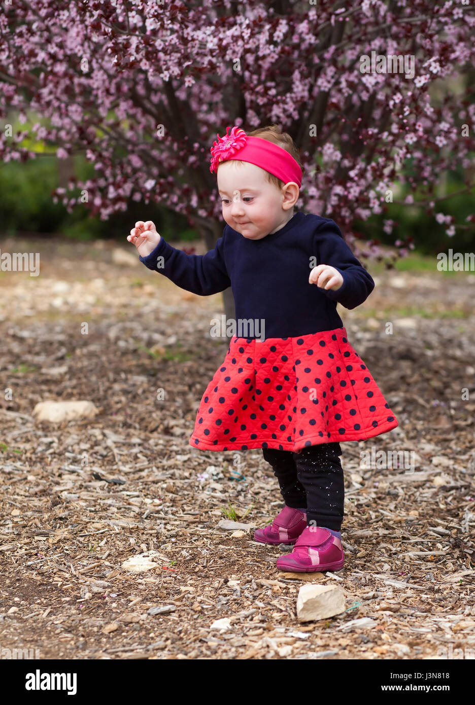 Adorable baby girl walking with care in the park Stock Photo - Alamy