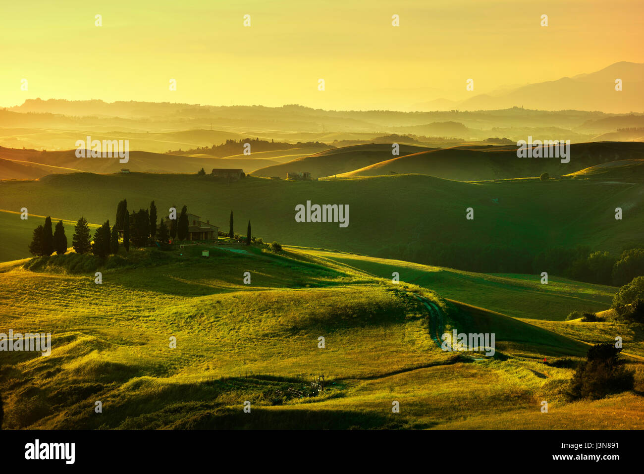 Tuscany spring, rolling hills on sunset. Rural landscape. Green fields ...