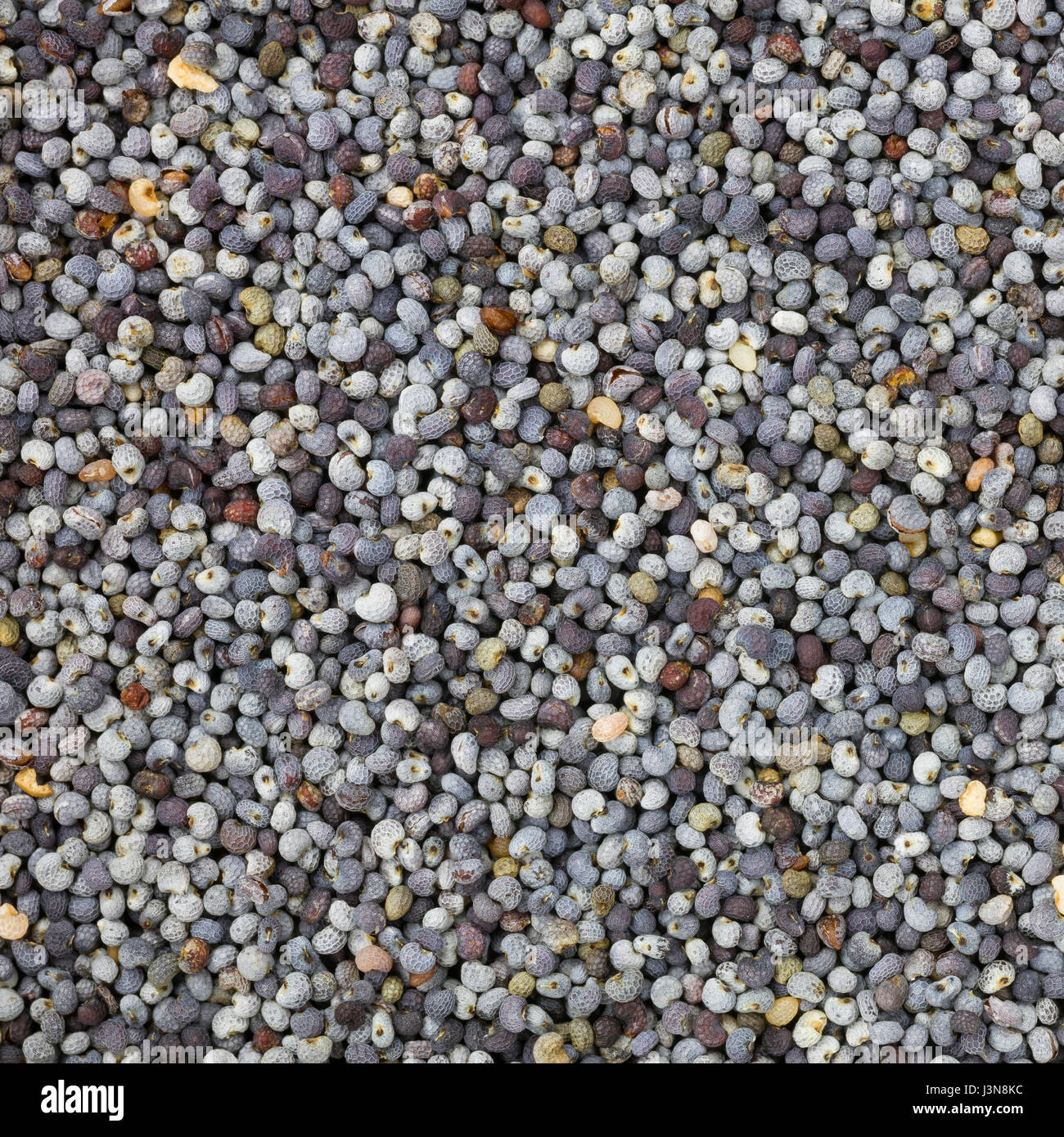 Poppy seeds background or texture. Close up photography Stock Photo - Alamy