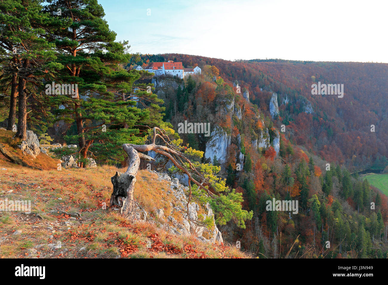 Wildenstein hi-res stock photography and images - Alamy