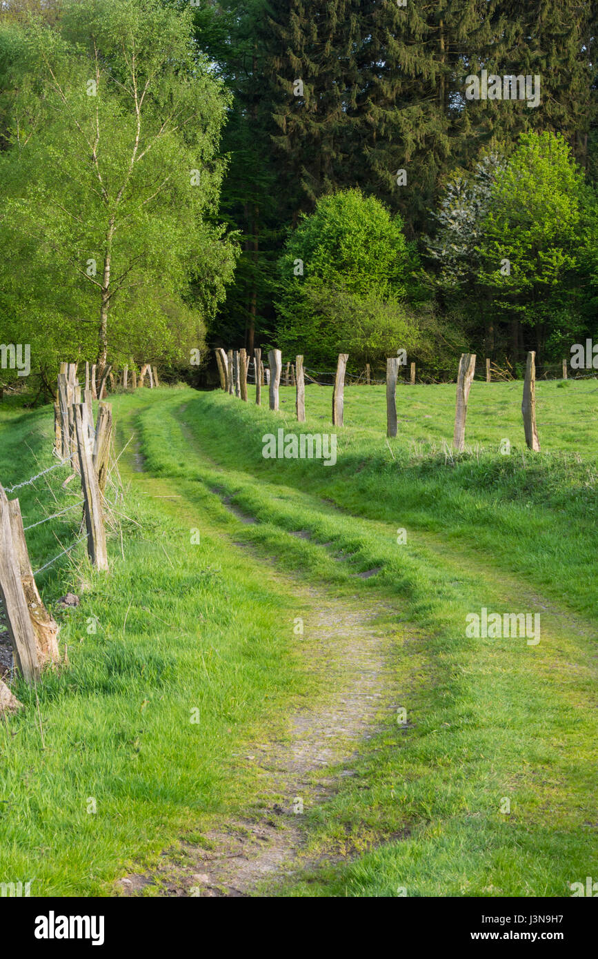 Dammer schweiz hi-res stock photography and images - Alamy