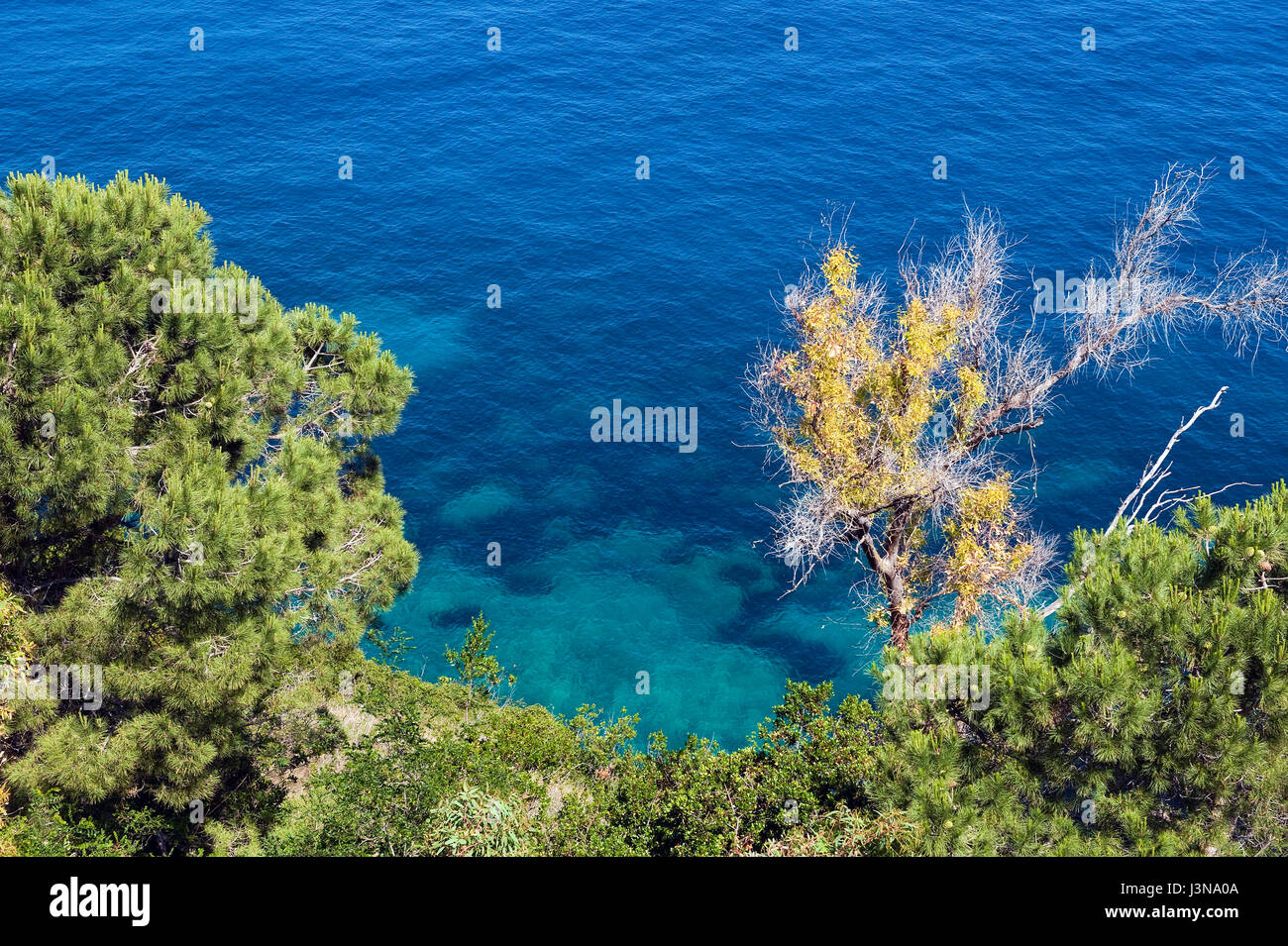 coast, Elba, Tuscany, Italy, Europe, Elba Stock Photo - Alamy