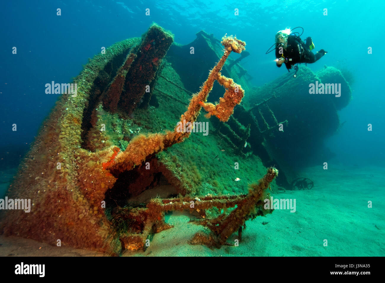 Mv elviscot hi-res stock photography and images - Alamy