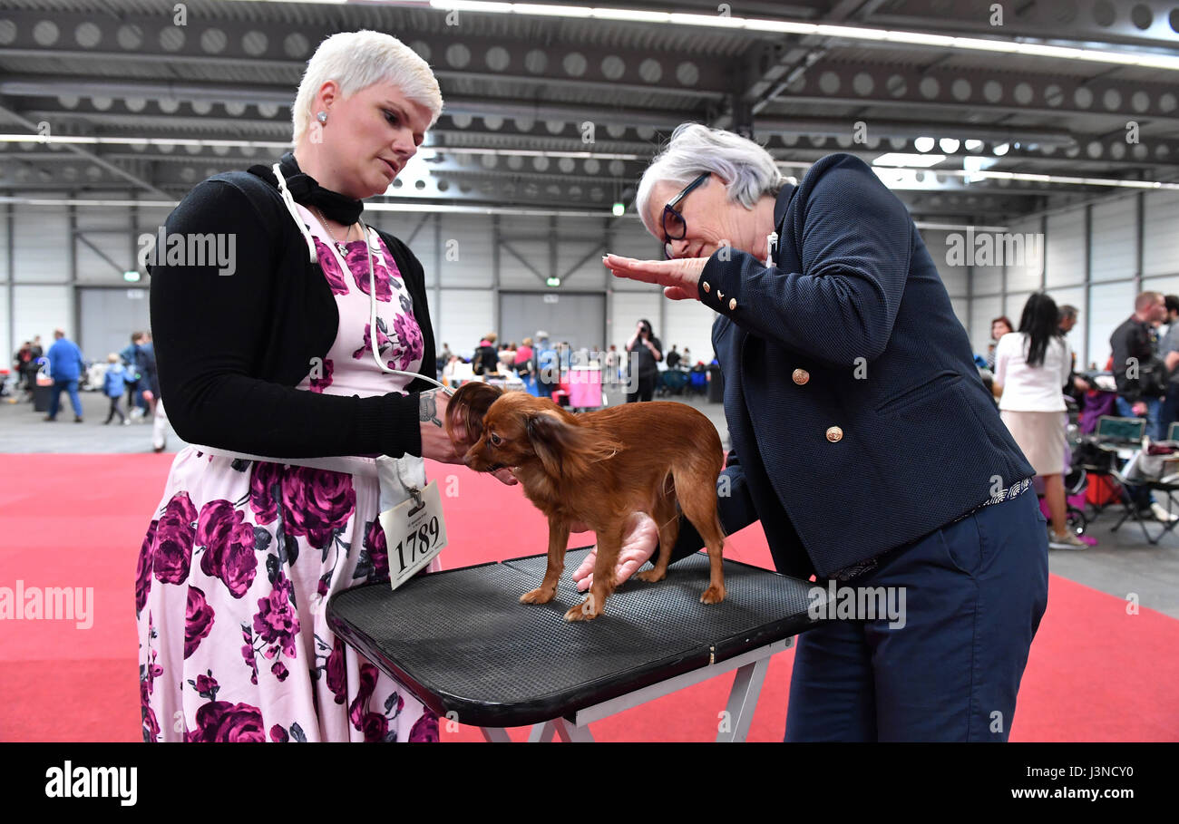 Kapriz hi-res stock photography and images - Alamy