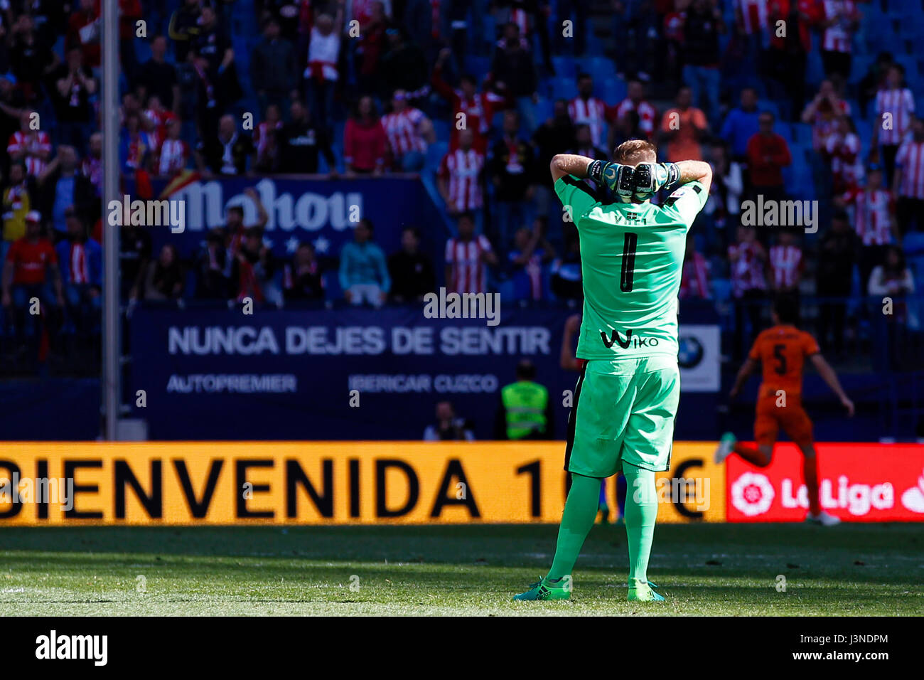 Yoel hi-res stock photography and images - Alamy