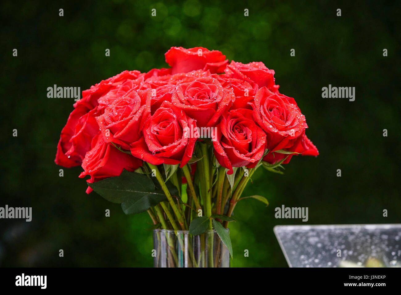 Alamy flower photo hi-res stock photography and images - Alamy