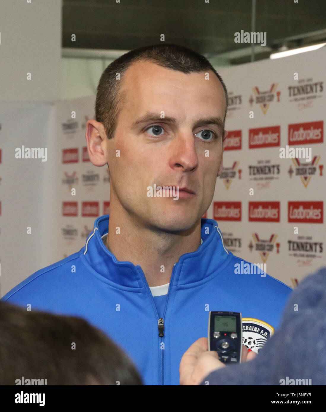 National Football Stadium at Windsor Park, Belfast, Northern Ireland ...