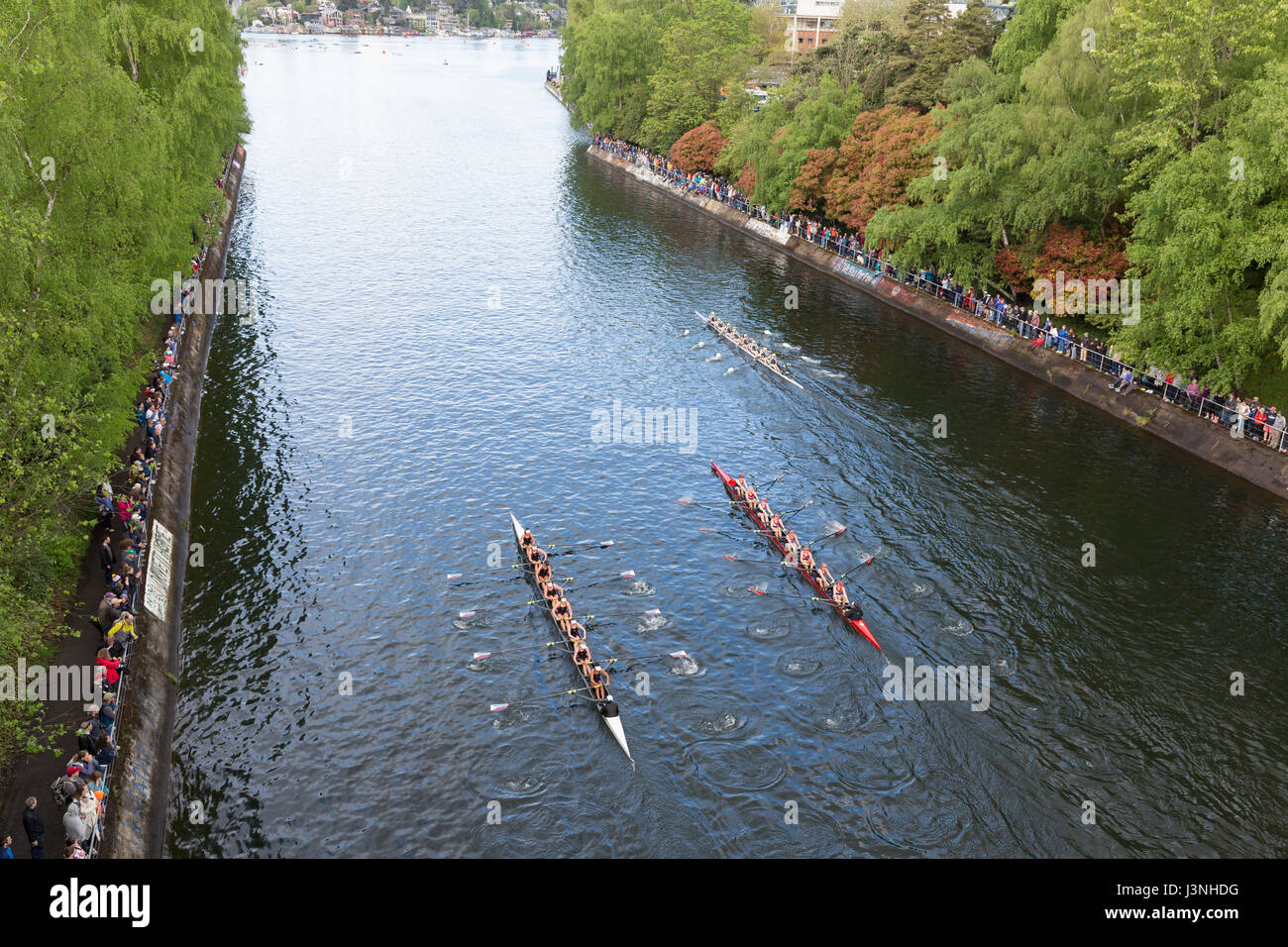 Racing shells hi-res stock photography and images - Alamy
