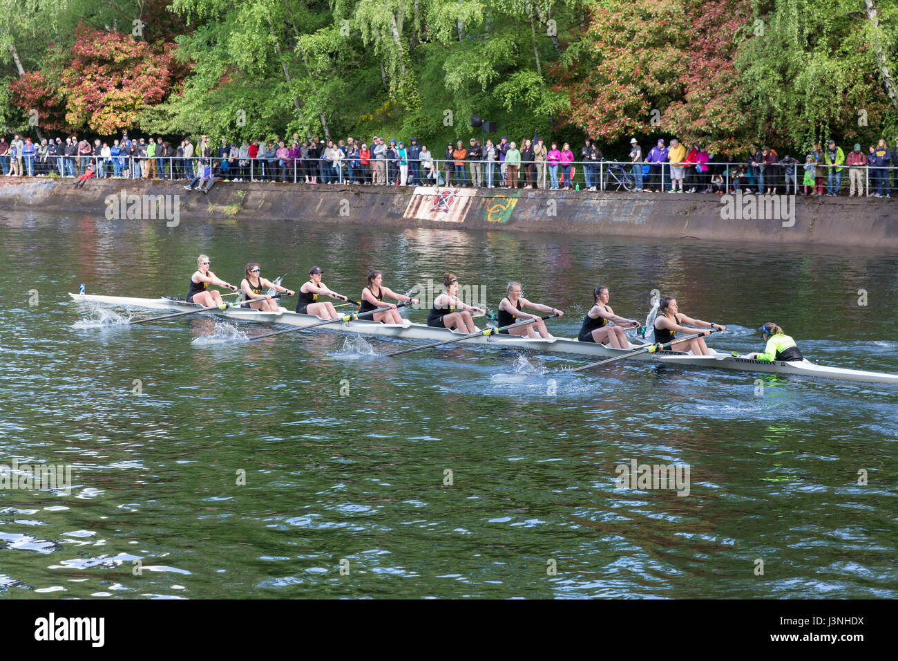 Seattle, Washington, USA. 6th May, 2017. Racing shell crosses the ...