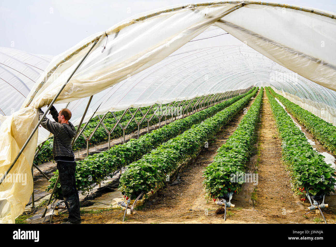 Tuesley Farm Stock Photos & Tuesley Farm Stock Images - Alamy
