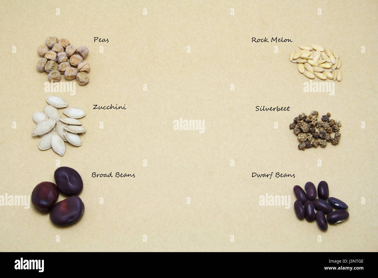 Seed collection hi-res stock photography and images - Alamy