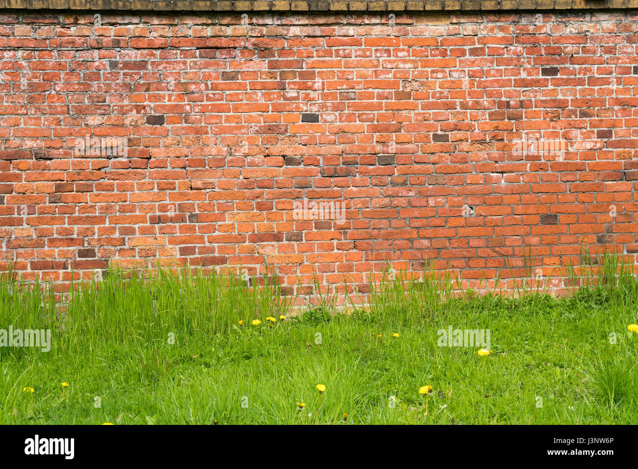 red brick wall and green meadow for backgrounds Stock Photo - Alamy