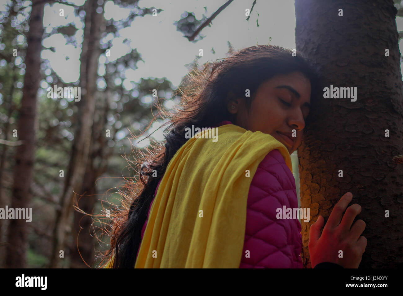 Ode to a tree Stock Photo - Alamy