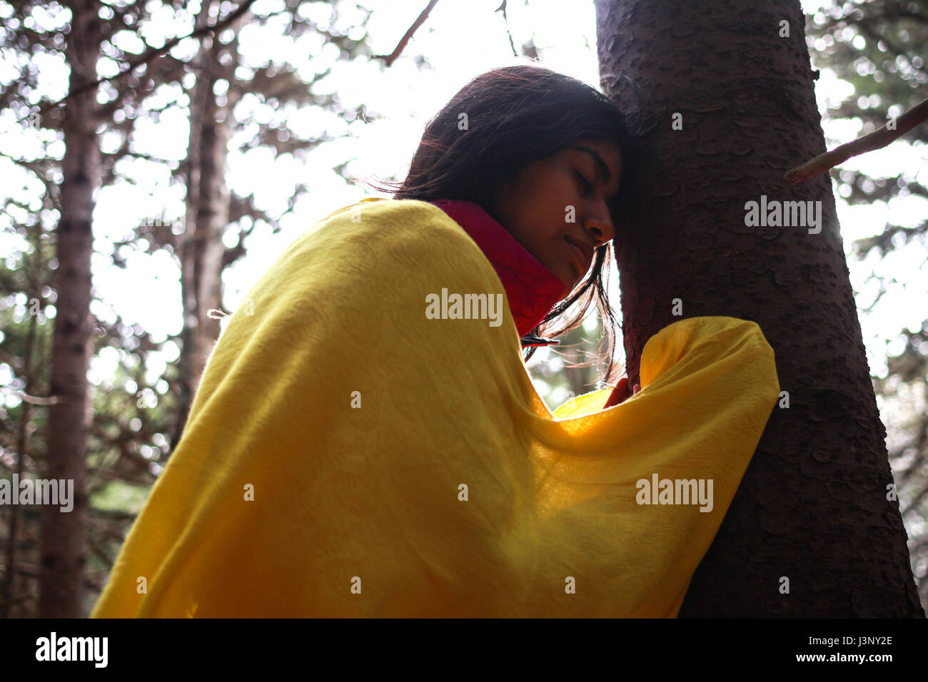 Ode to a tree Stock Photo - Alamy