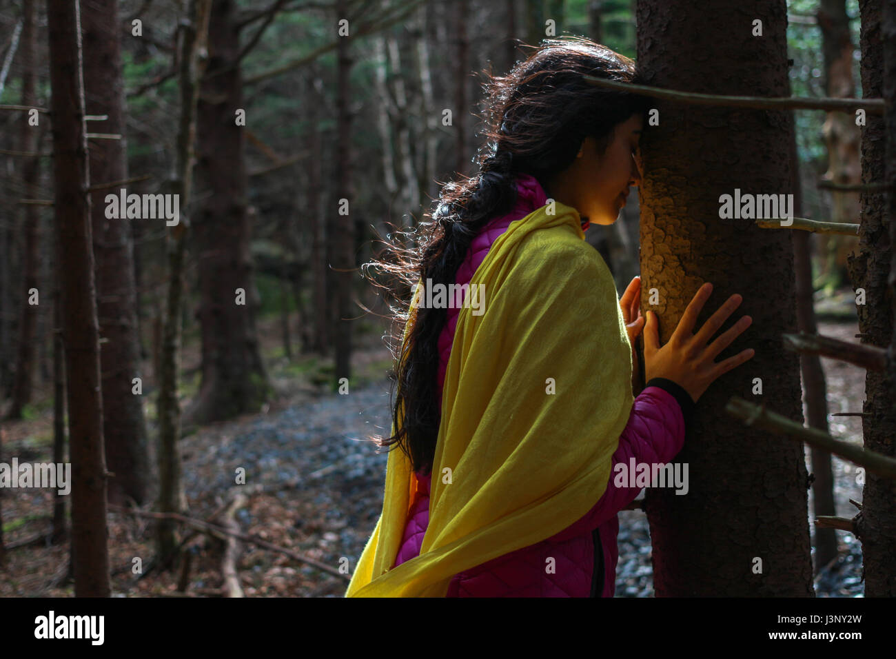 Ode to a tree Stock Photo - Alamy