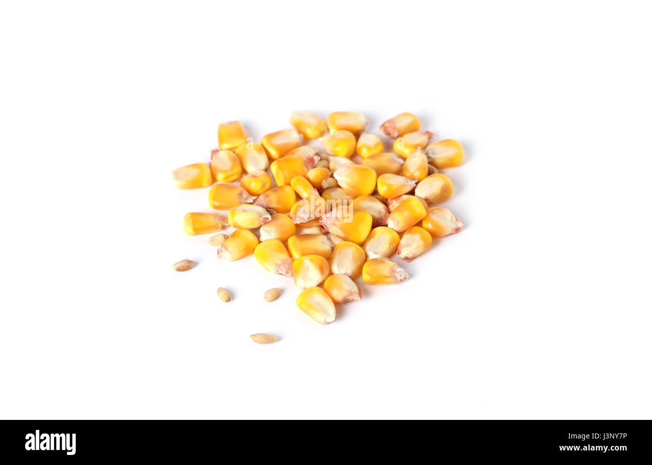 Corn and wheat seeds Stock Photo - Alamy