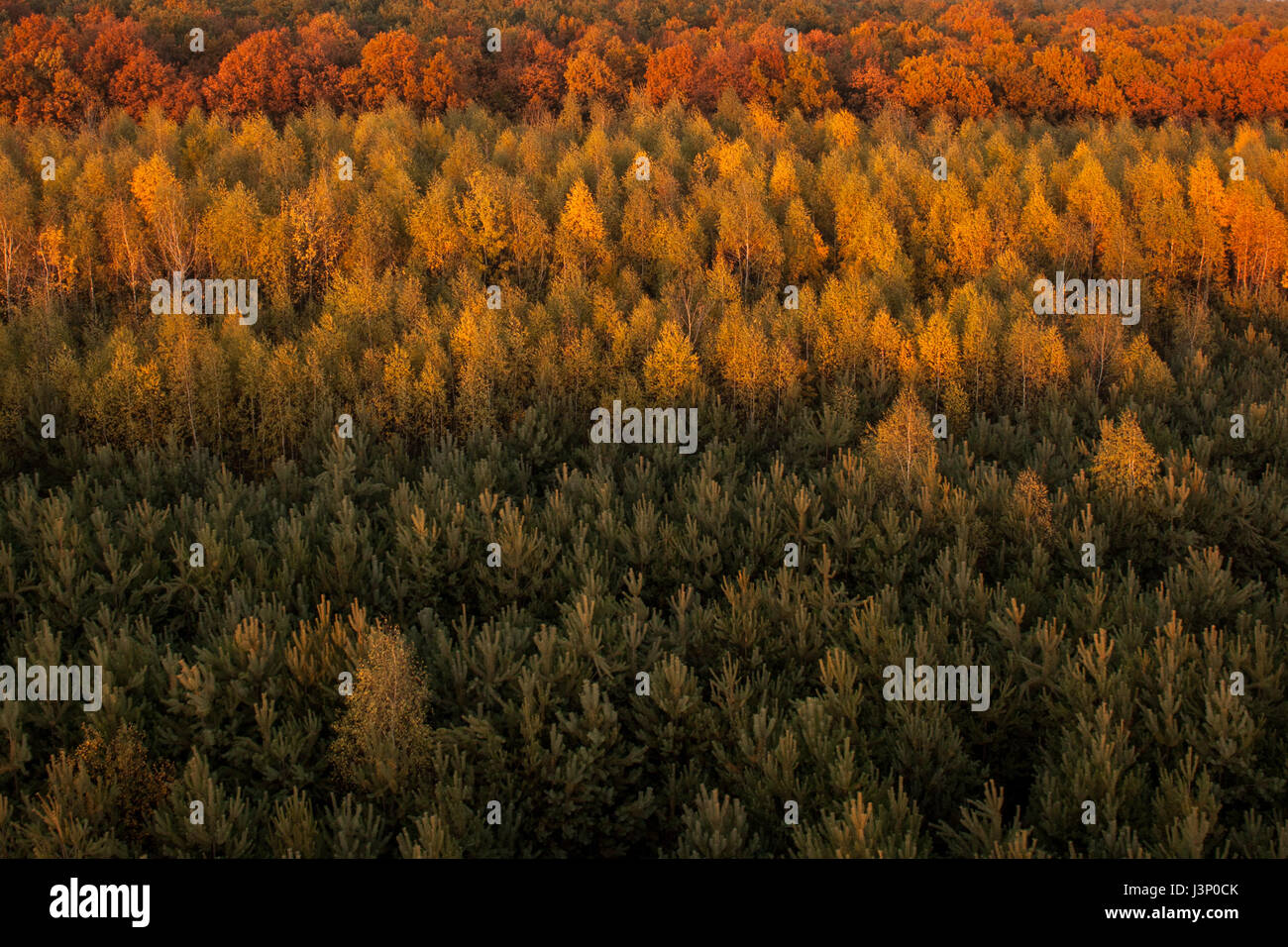 Autumn landscape aerial photography Stock Photo - Alamy