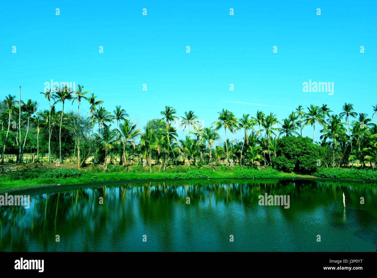 A beautiful landscape of Kerala, India Stock Photo - Alamy
