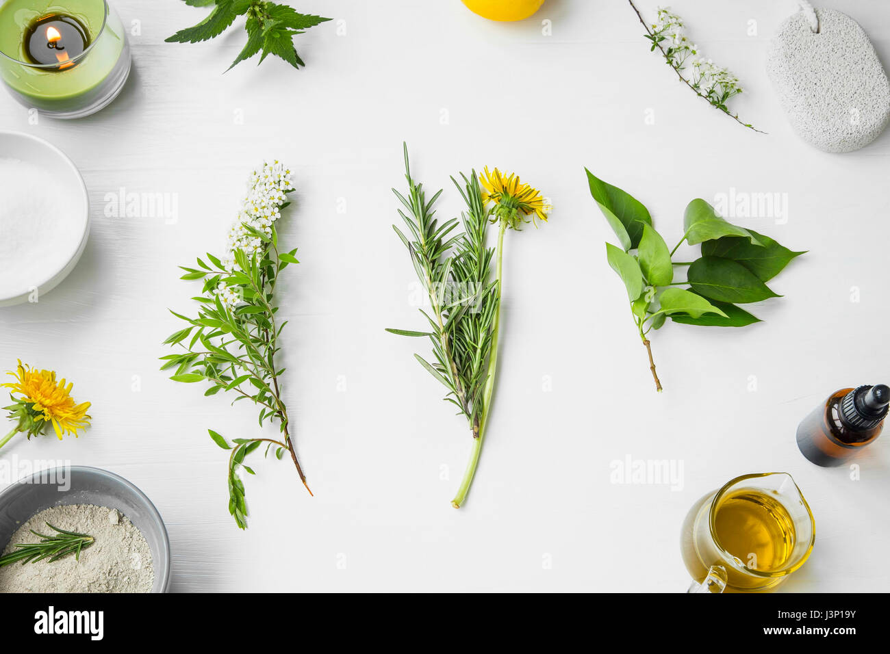 Organic spa. natural herbal skincare ingredients with herbs and plants ...