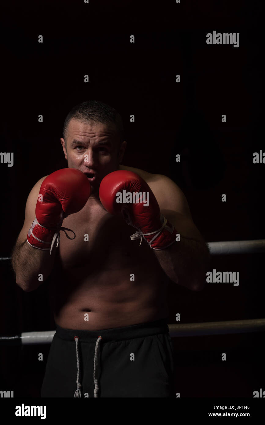 professional kickboxer with hands in martial arts position training for ...