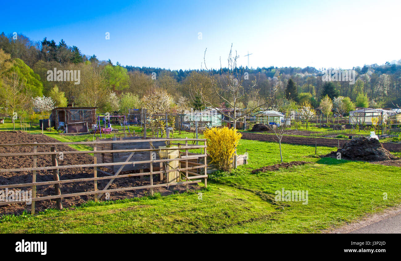 Allotment garden area in spring Stock Photo - Alamy