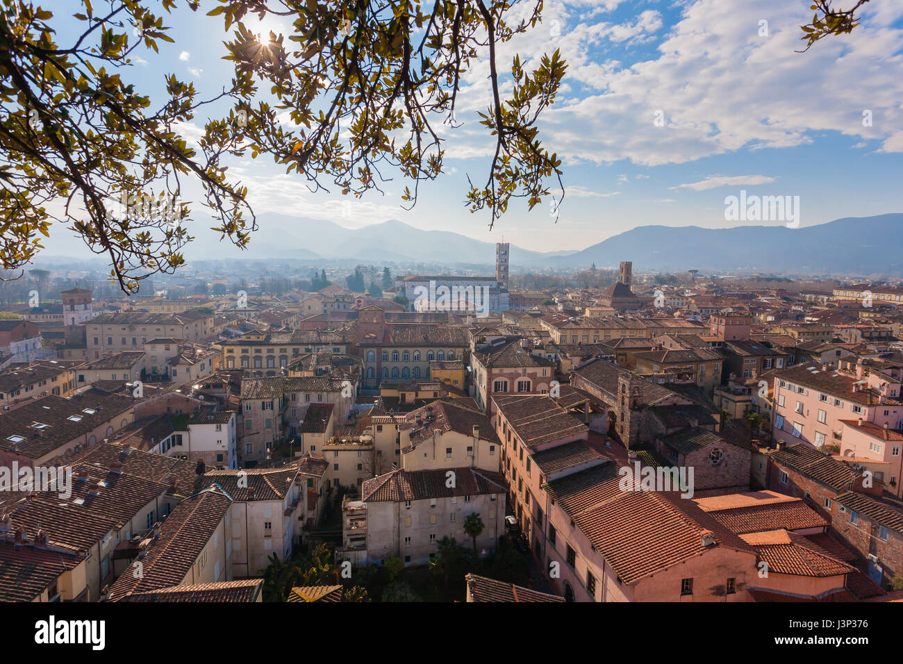 Lucca from Guinigi Tower. Italian landmark. Aerial view of Lucca Stock ...
