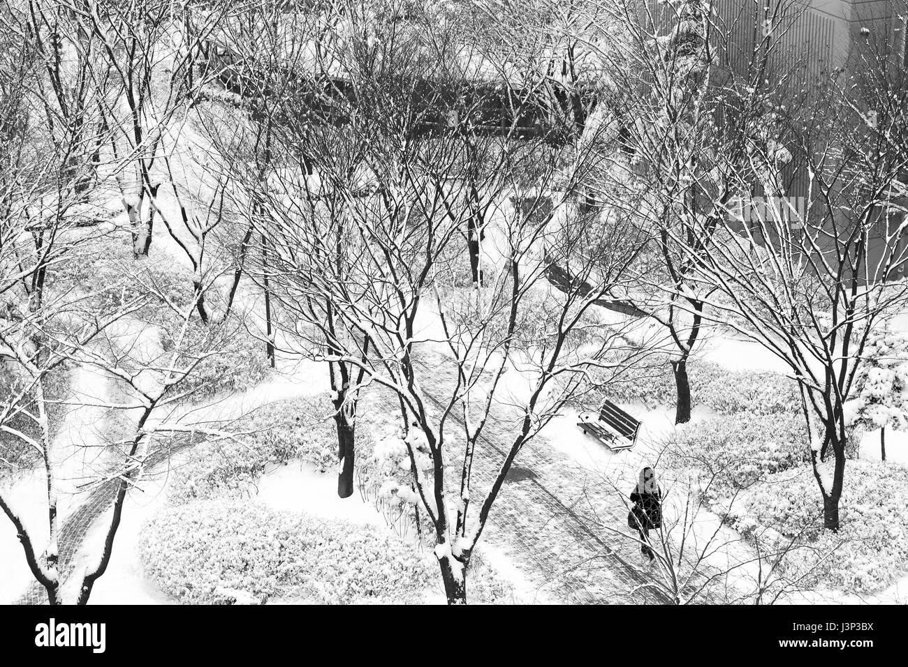 A female walking the walkway on a snowing morning Stock Photo - Alamy