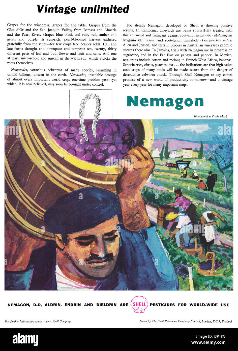 Shell logo vintage hi-res stock photography and images - Alamy