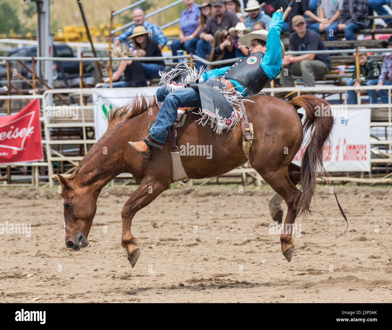 Cowboys in action at the Cottonwood Rodeo in northern California Stock ...