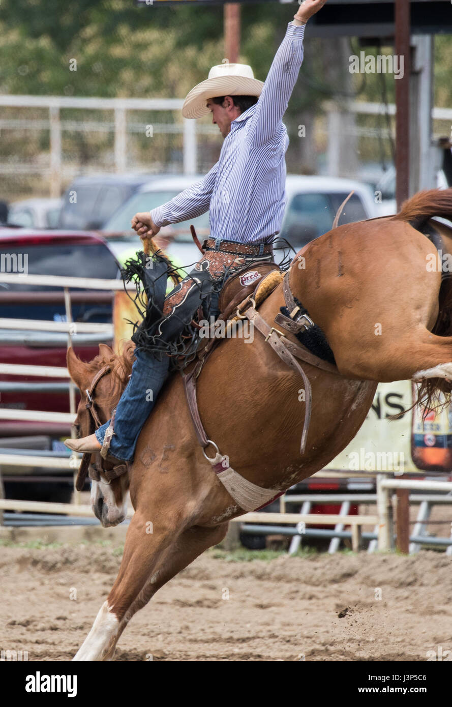 Cowboys in action at the Cottonwood Rodeo in northern California Stock ...