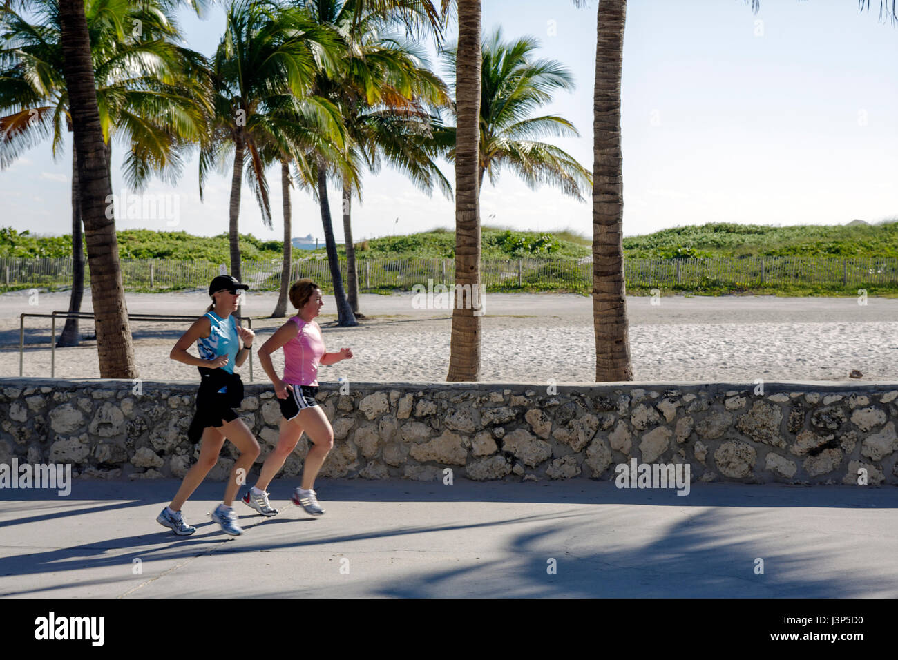 Miami Beach Florida,Lummus Park,Serpentine Way,coral wall,palm trees ...