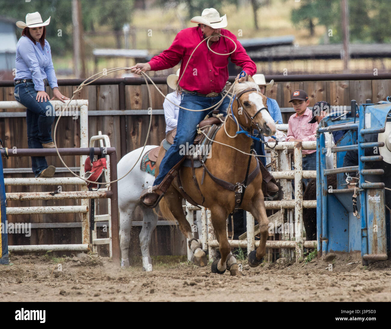 Rodeo action at the Cottonwood Rodeo in northern California Stock Photo ...