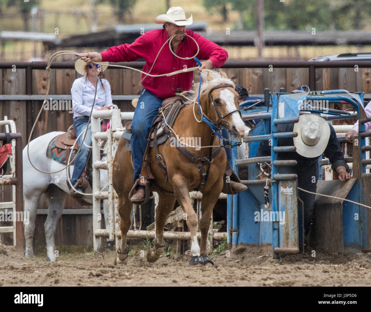 Rodeo action at the Cottonwood Rodeo in northern California Stock Photo ...