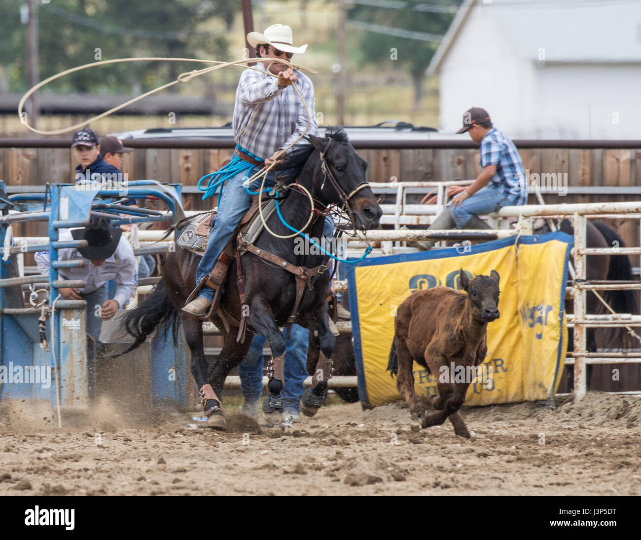 Rodeo action at the Cottonwood Rodeo in northern California Stock Photo ...