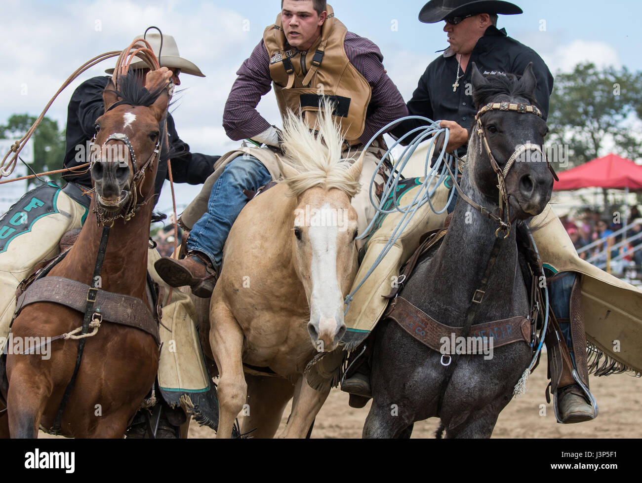Rodeo action at the Cottonwood Rodeo in northern California Stock Photo ...