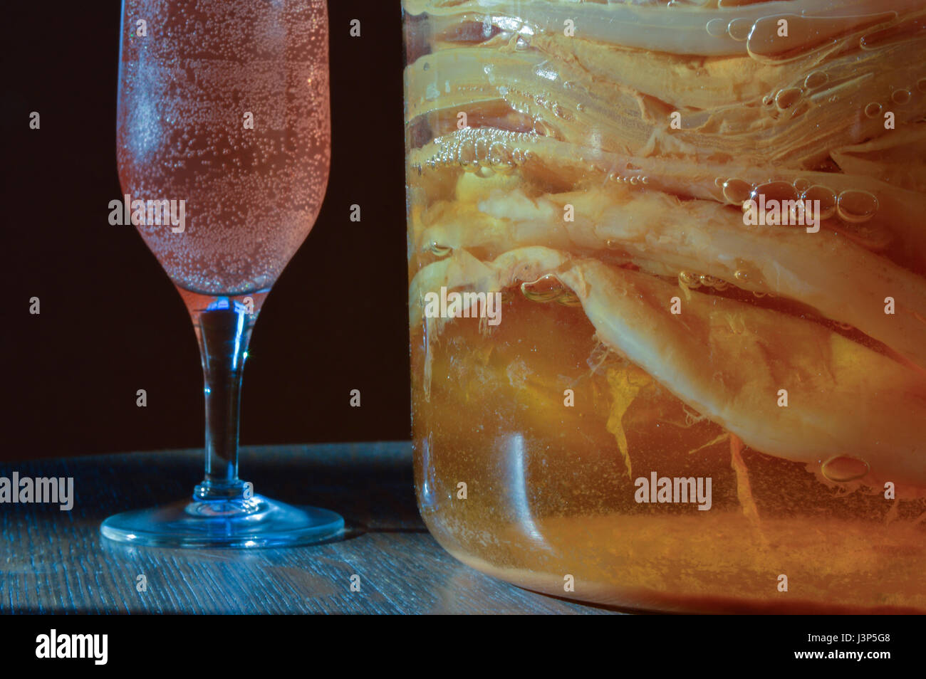 Symbiotic colony of bacteria hi-res stock photography and images - Alamy